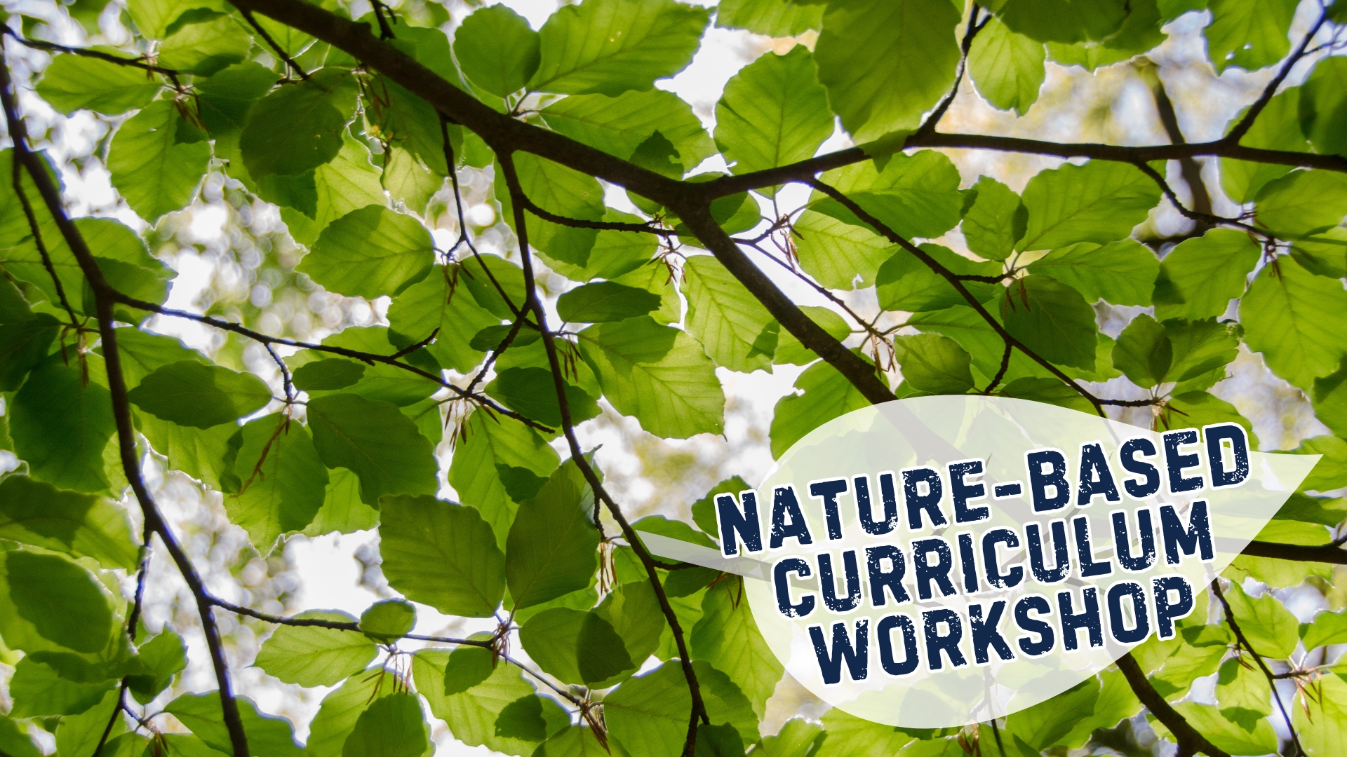 Nature Based Curriculum Workshop: Explore Your Environment | Serving ...
