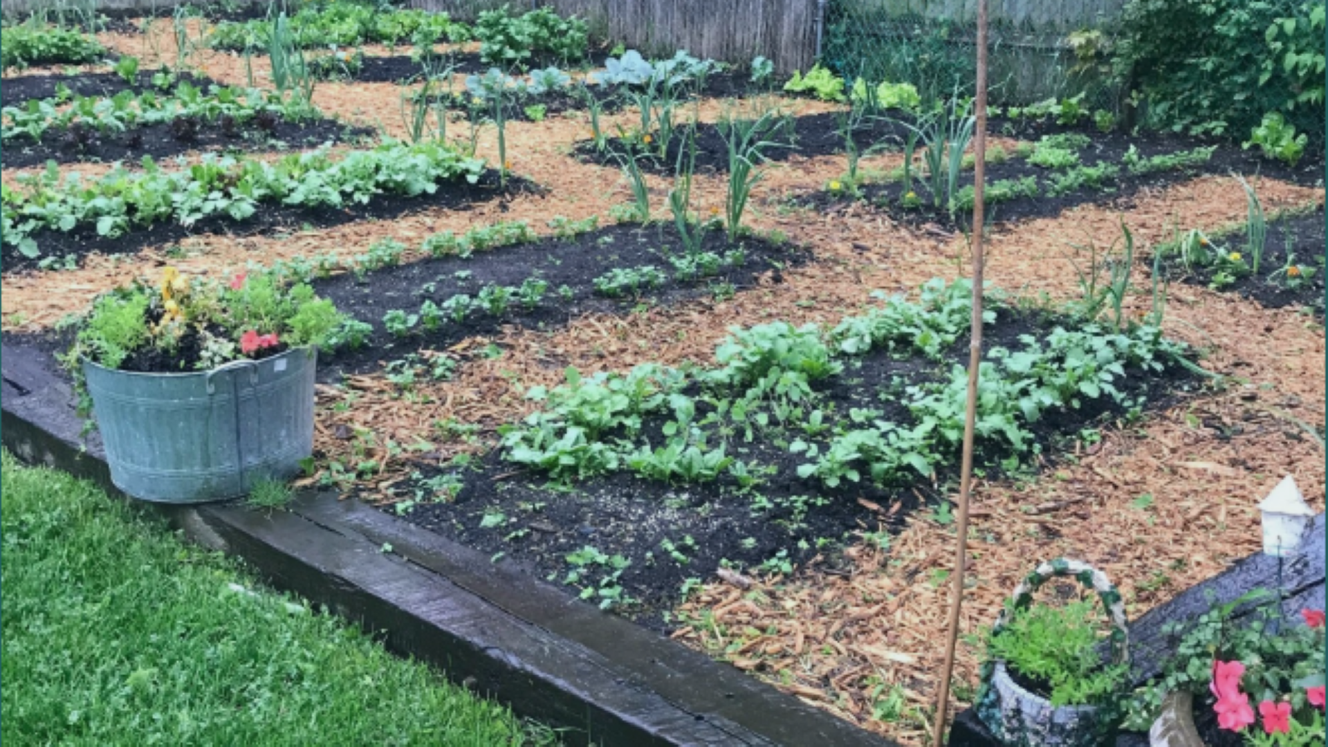 NRCS Field Day - DePaul College Prep July 23 | Illinois Extension | UIUC