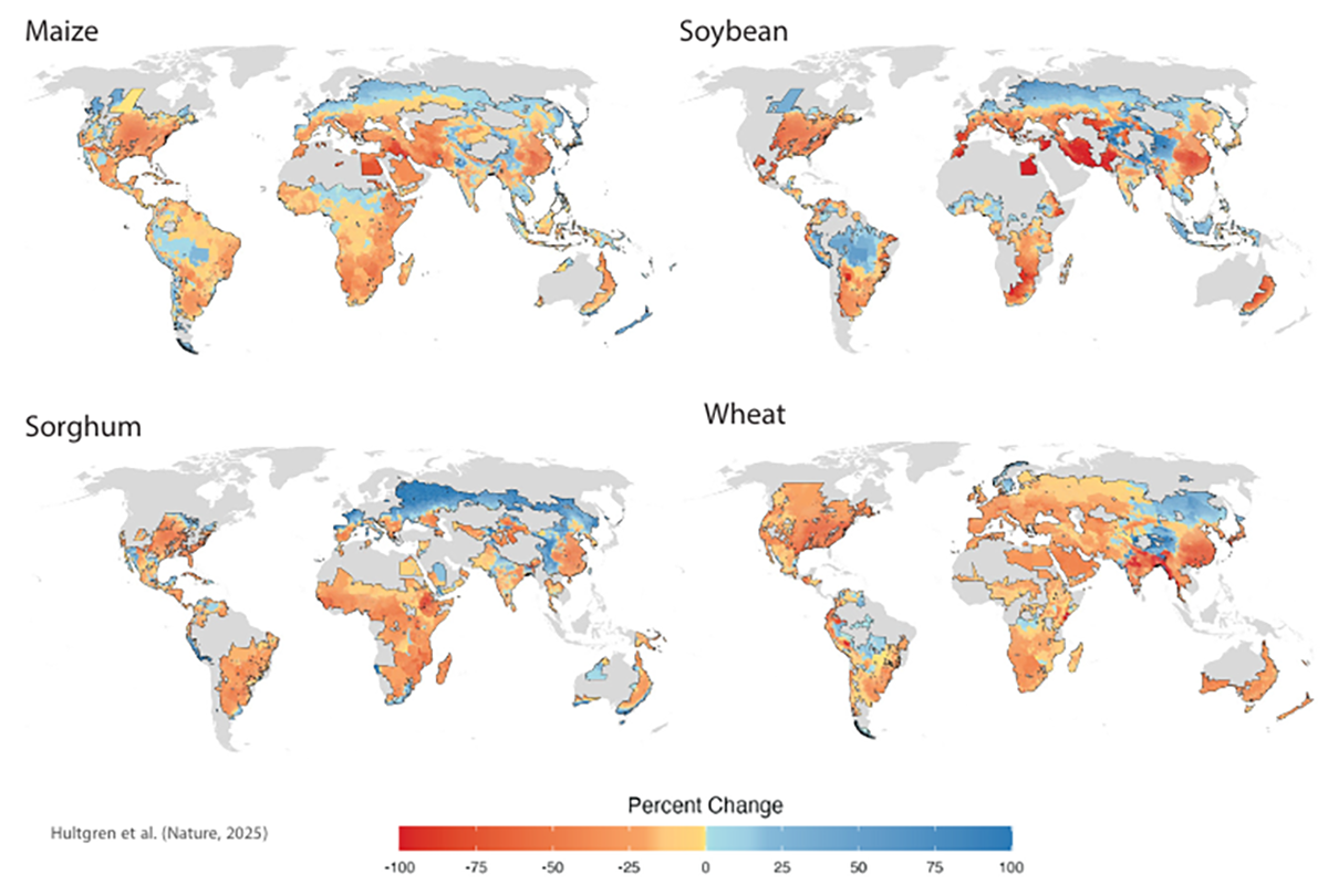 Climate change cuts global crop yields, even when farmers adapt ...