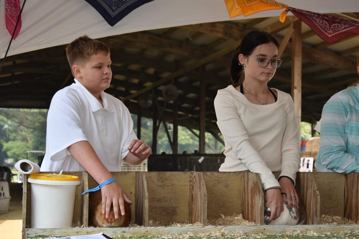 Ogle County 4-H Rabbit Show winners | Illinois Extension | UIUC