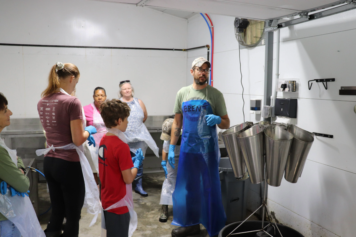 Chicken Butchering Workshop | Serving Franklin, Jackson, Perry ...