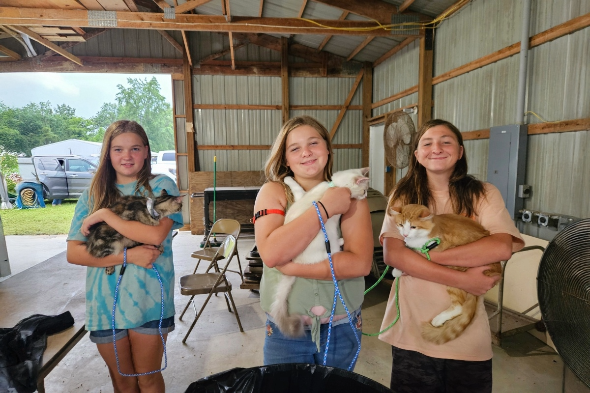 AJMPU 4-H animal shows highlights youth dedication and skill | Illinois ...