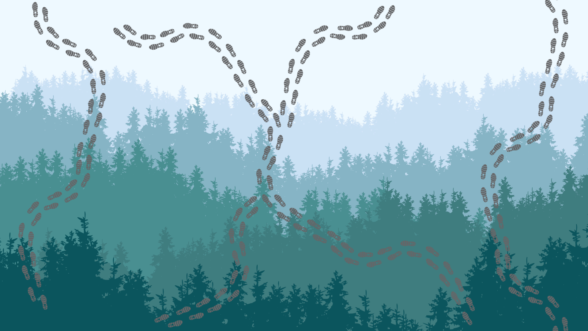 Nature Explorers SPIN Club: Savanna | Serving Carroll, Lee and ...