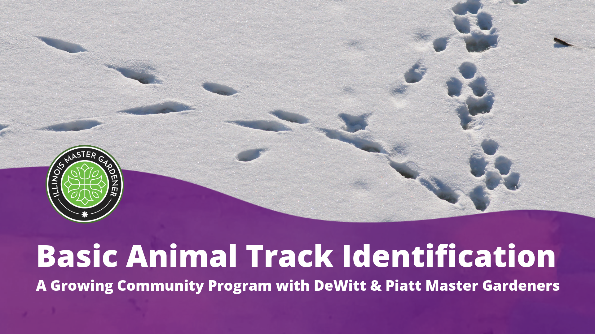 Basic Animal Track Identification | Illinois Extension | UIUC