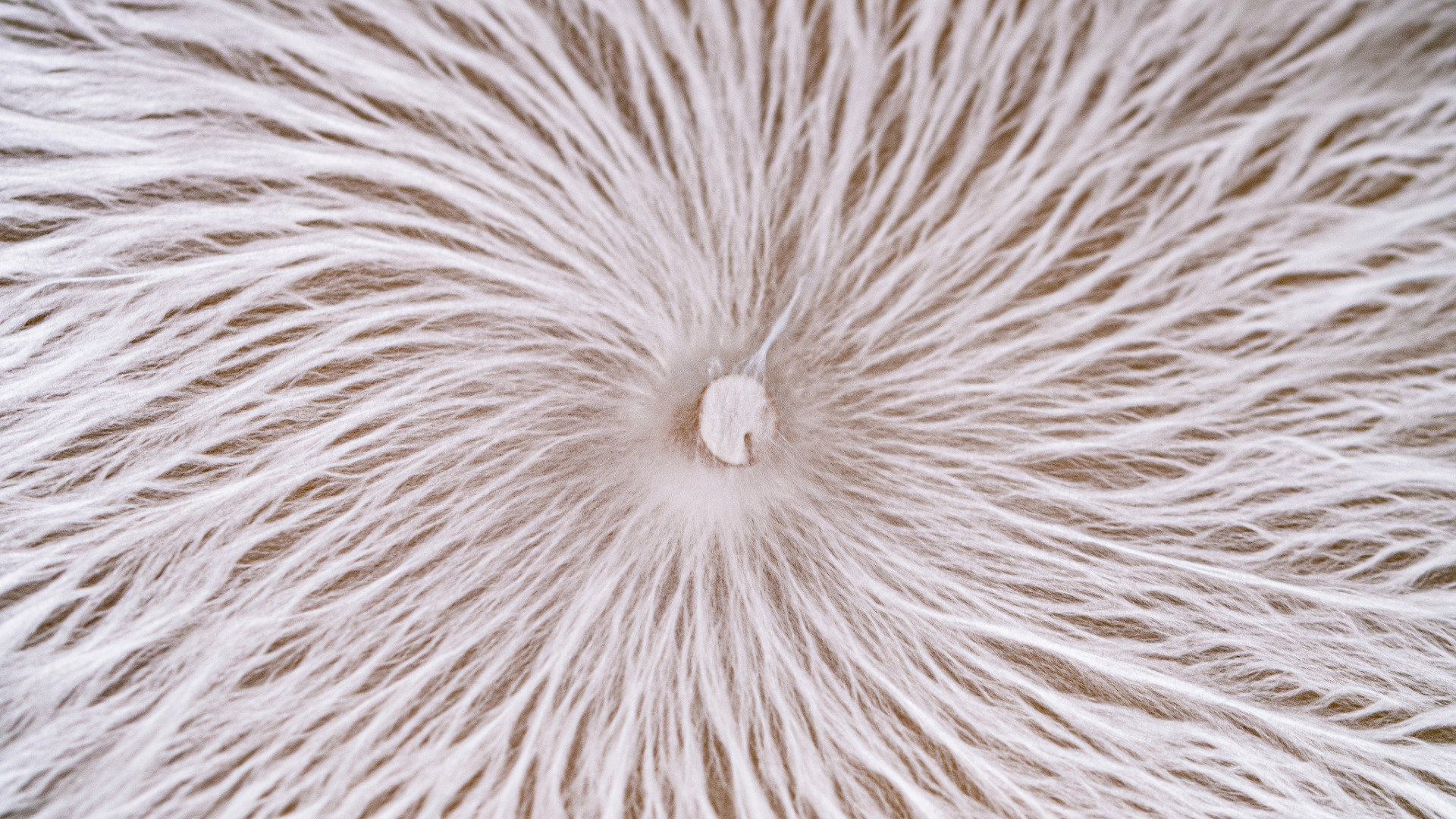 Green Connections: Mycelium | Illinois Extension | Illinois