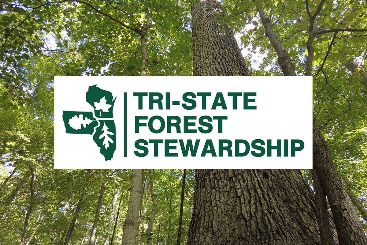 Tri-State Forest Stewardship Conference returns to support Midwest ...