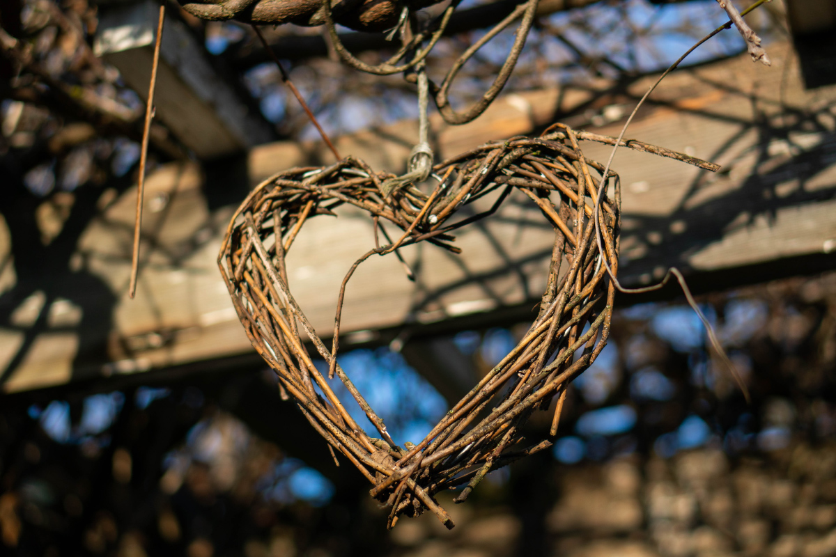 Embrace nature’s snowy season with Illinois Extension Four Seasons ...