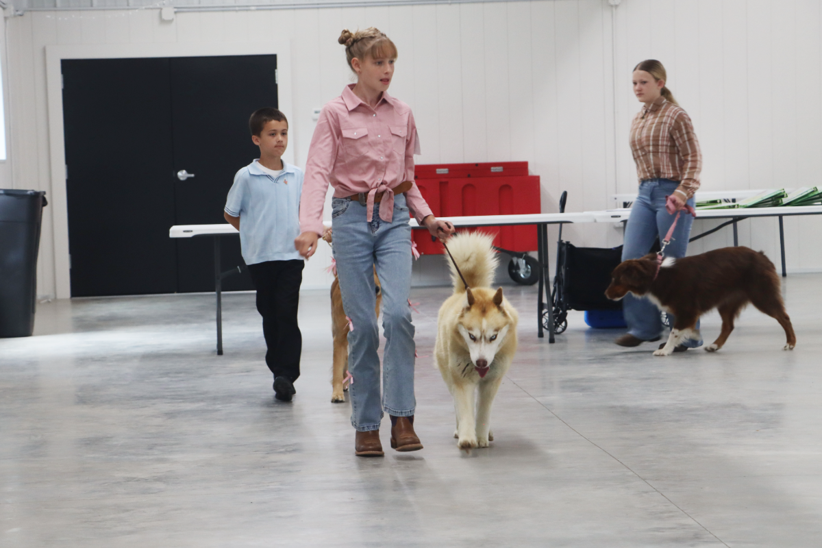 4 H Youth Showcase Skills and Sportsmanship at 2026 Multi County Dog ...