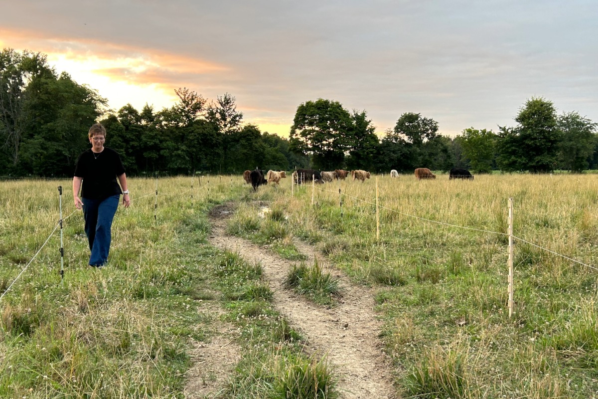 Edmison Acres demonstrates success in highland cattle market during ...
