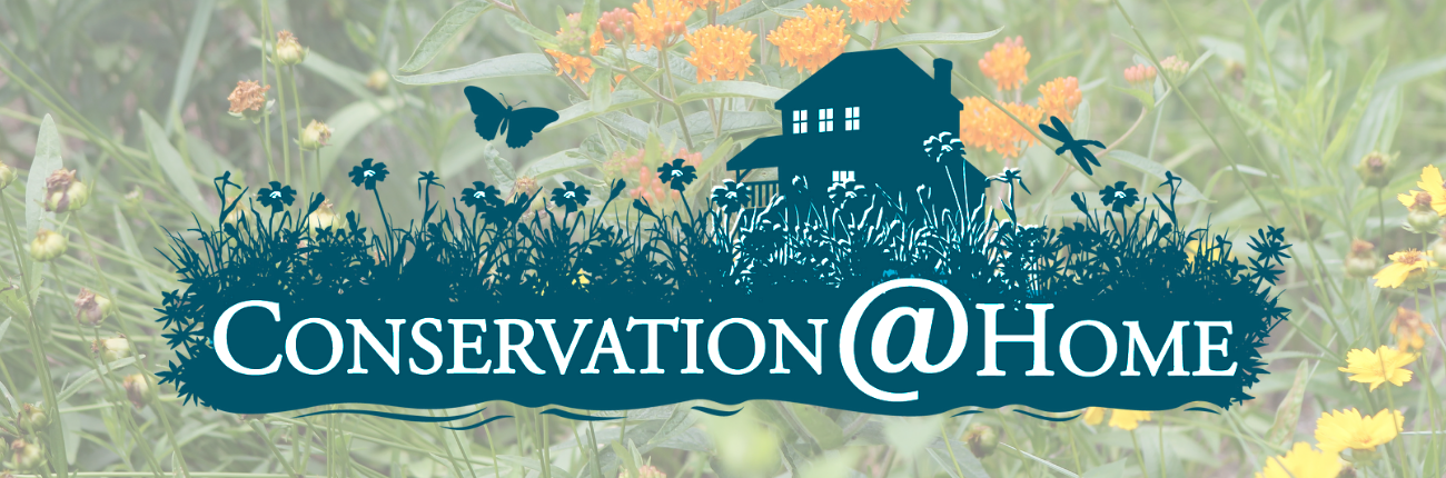 Conservation@Home: Serving Cook County: University of Illinois Extension