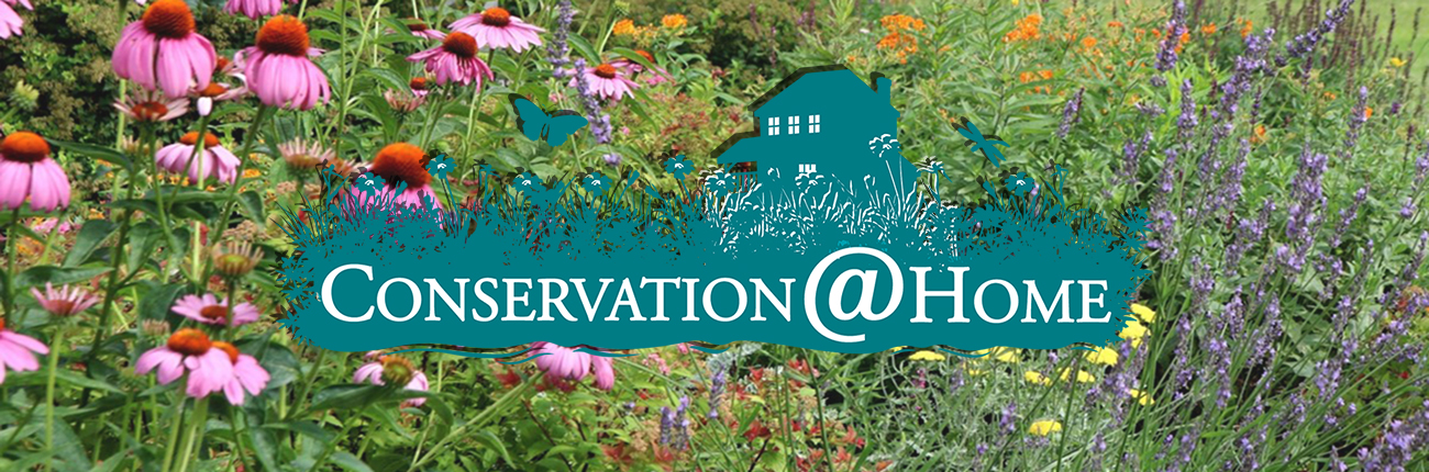 Conservation@Home: Serving Cook County: University of Illinois Extension