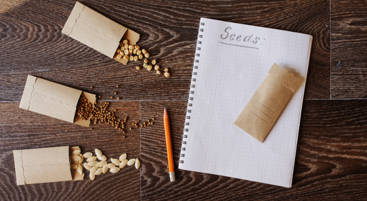 Open-Pollinated vs. Hybrid: An important distinction when saving seeds ...
