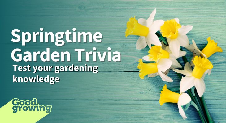 Springtime gardening trivia | Good Growing | Illinois Extension | UIUC