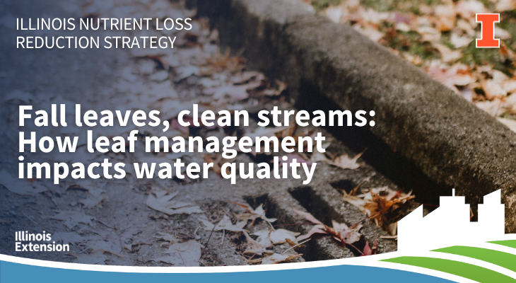 Fall leaves, clean streams: Leaf management impacts water quality ...