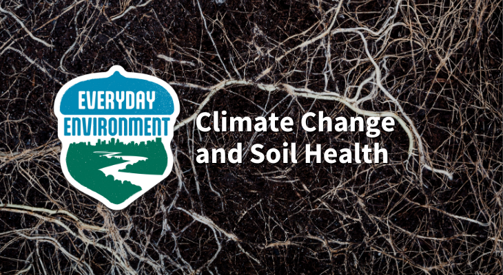 Soil carbon addresses climate resiliency for the future | Everyday ...