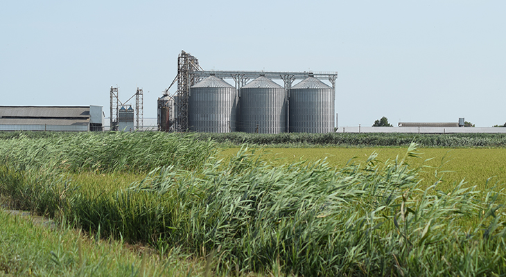 Navigating Cash Rents in 2025: Insights and Best Practices, Part One ...