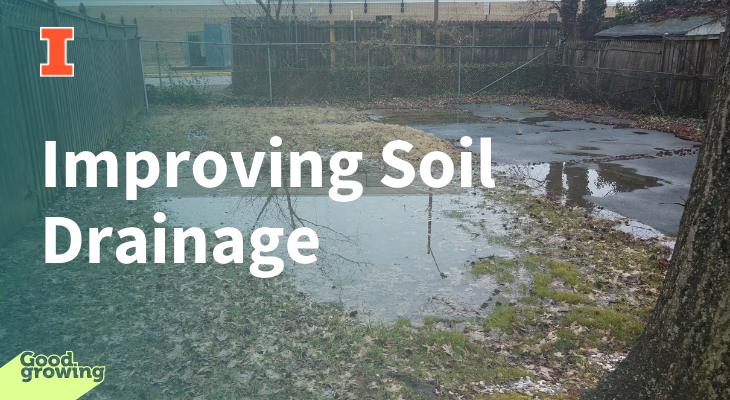 Improving Soil Drainage | Good Growing | Illinois Extension | UIUC