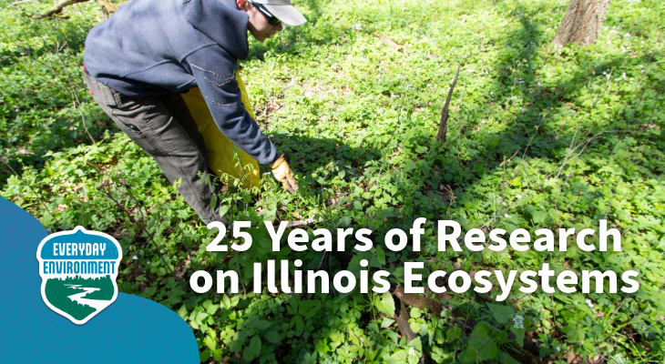 What two decades of research tells us about invasive species | Everyday ...