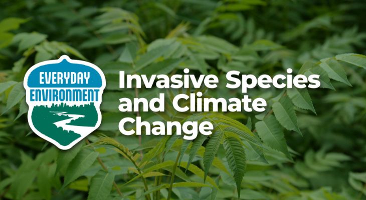 What to expect with invasives and climate change | Everyday Environment ...