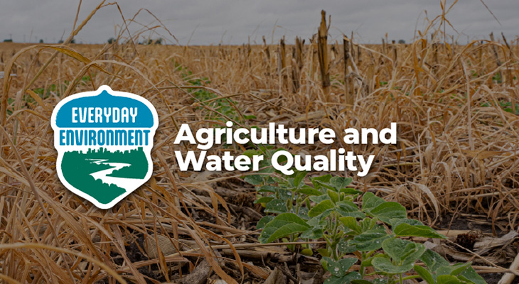 Protecting our waterways from excess nutrients | Everyday Environment ...
