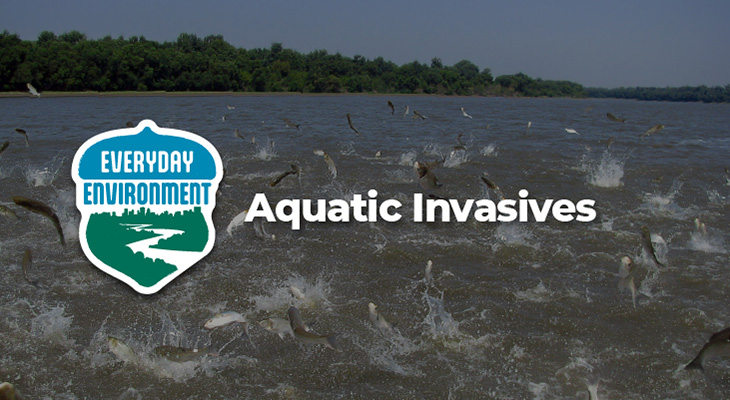 Be a Hero: How you can prevent the spread of aquatic invasive species ...