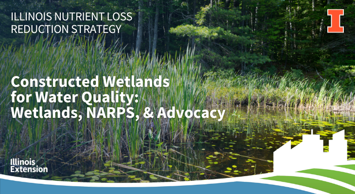 Constructed wetland for water quality: Wetlands, NARPS, and advocacy ...
