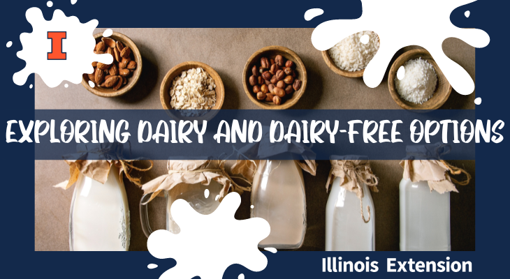 Exploring dairy and dairy-free alternatives: A guide to your options ...