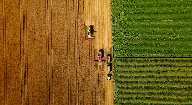 Farm economic outlook for central Illinois in 2026 | Farm Focus ...