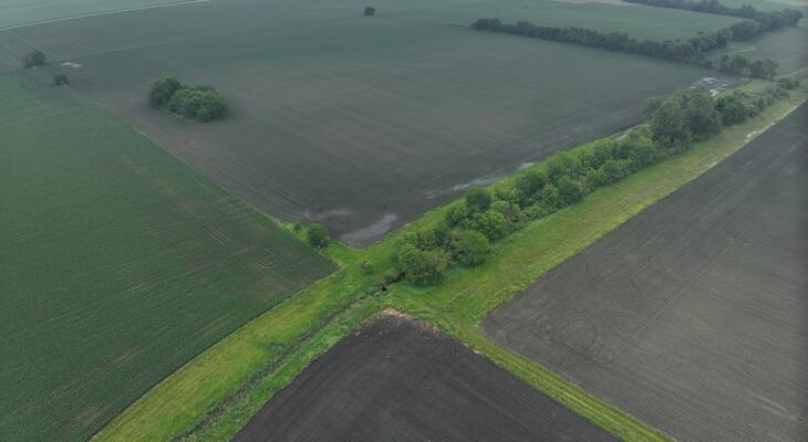 Illinois Farmland Values in 2026: Volatile Signals | Farm Coach ...