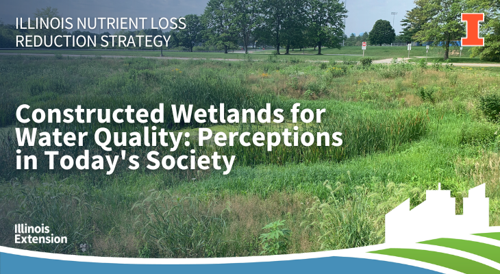 Constructed wetlands for water quality: Perceptions in today's society ...