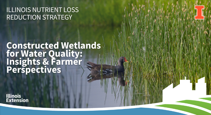 Constructed wetlands for water quality: Insights and farmer ...