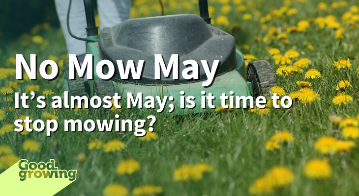 It’s almost May; is it time to stop mowing? | Good Growing | Illinois ...