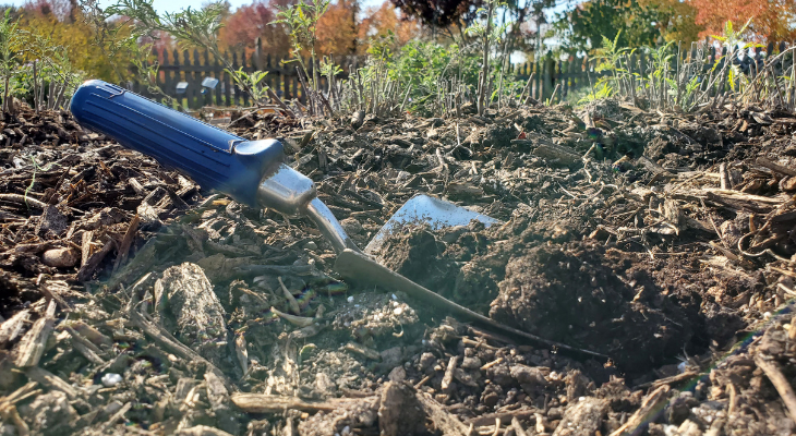 Garden soil testing: Essential steps for healthier plants | The Garden ...