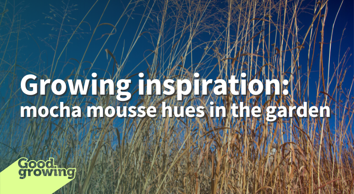 Growing inspiration: mocha mousse hues in the garden | Good Growing ...