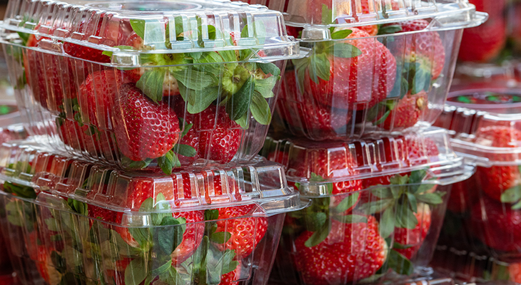 Food safety in fresh produce washing and packing areas | Commercial ...