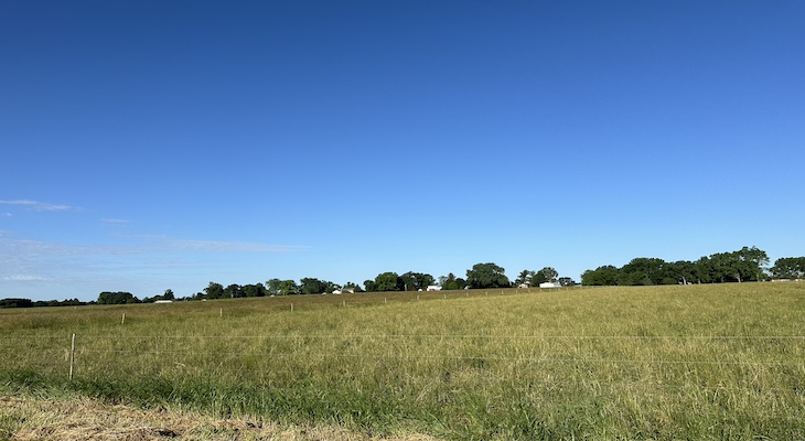 Is mowing pasture a good thing? | The Cattle Connection | Illinois ...