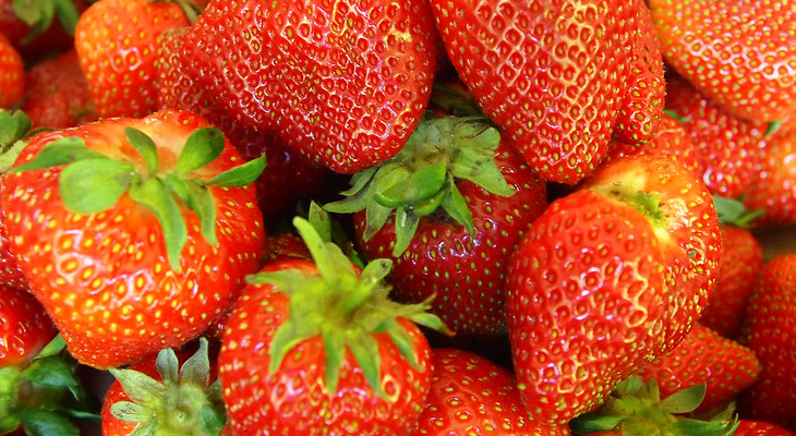 Unveiling the diverse world of strawberries: June-bearing, ever-bearing ...