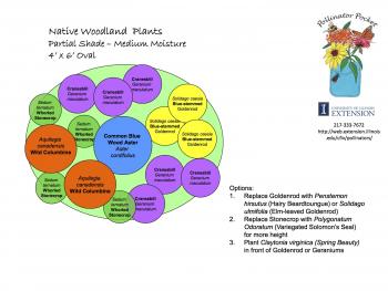Pollinator Pockets: Serving Champaign, Ford, Iroquois and Vermilion ...