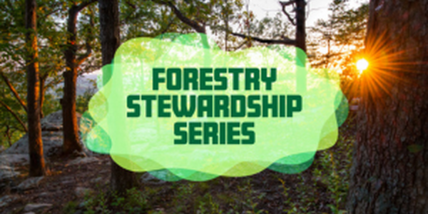 Forestry | Illinois Extension | UIUC